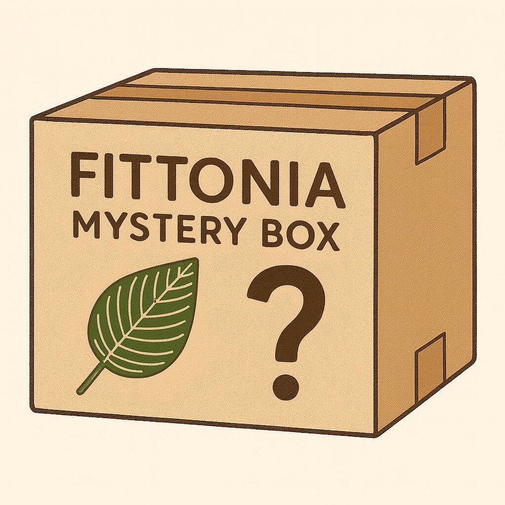 Fittonia mystery box – Tropical Corner